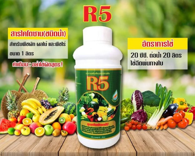 ฮอโมนชนิดน้ำไคโตซานตราR5.(ชุด 12 ขวด) - MyStar V8