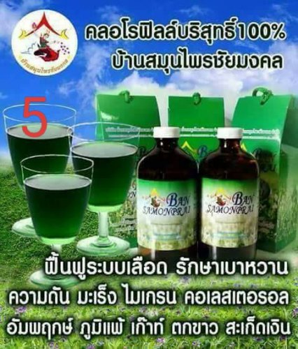 คลอโรฟิลล์ บริษัทบ้านสมุนไพรชัยมงคล อย./50-1-04352-5-0011 - MyStar V8