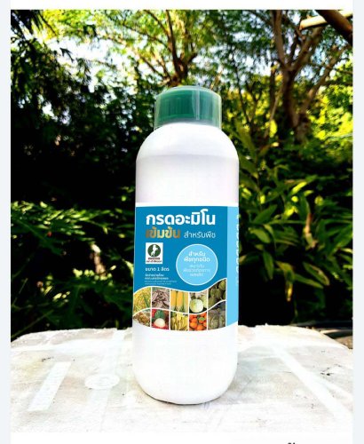 กรดอะมิโน เข้มข้น ม้าสีหมอก - MyStar V8